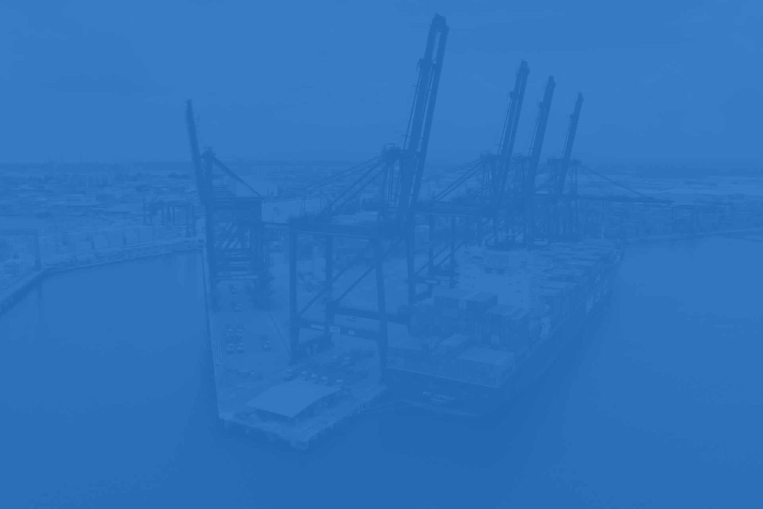 LEARN ABOUT OUR LINE OF SERVICES